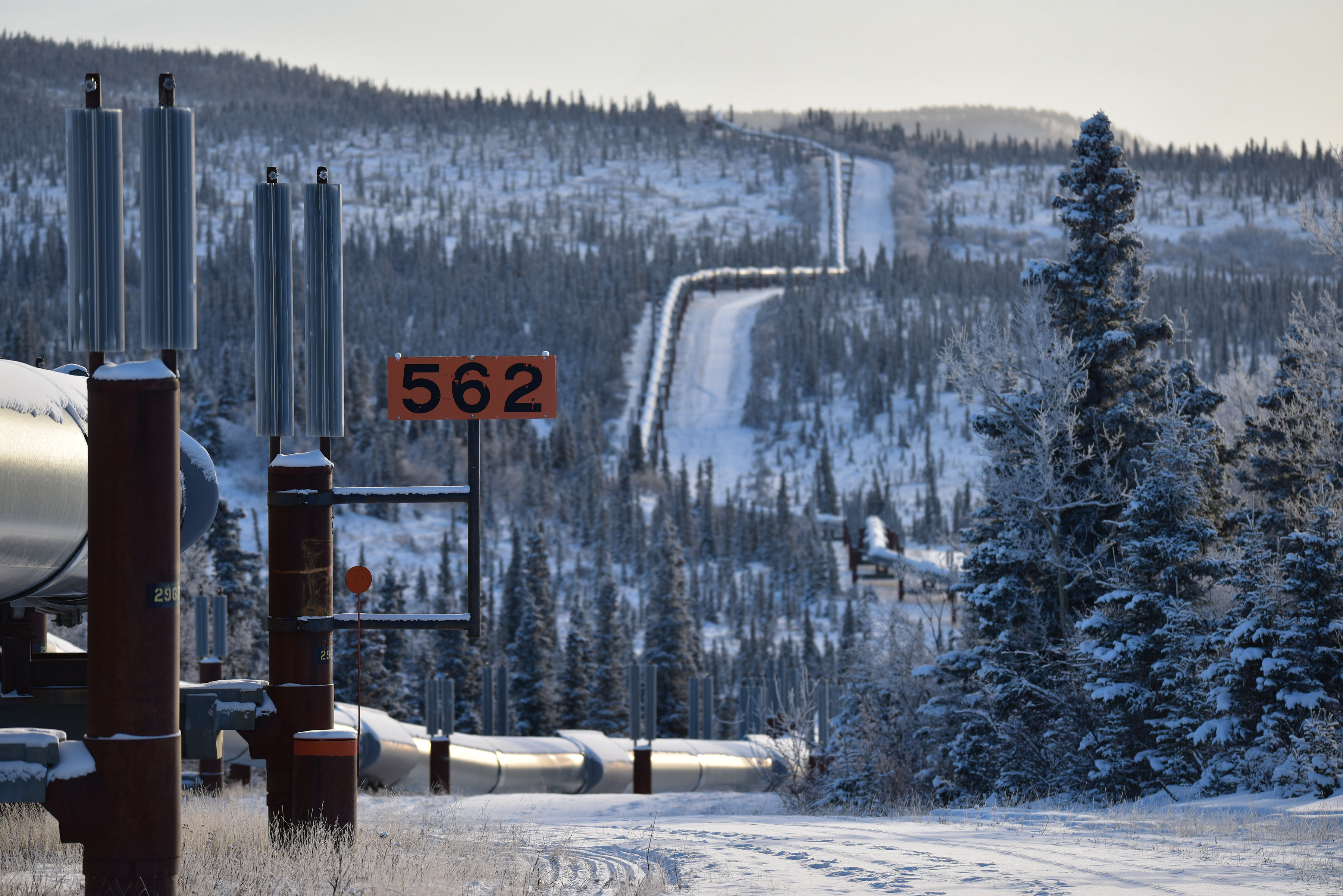 Canada’s New Oil Tycoon Bets Big on Expansion, Shaking Up Energy Sector